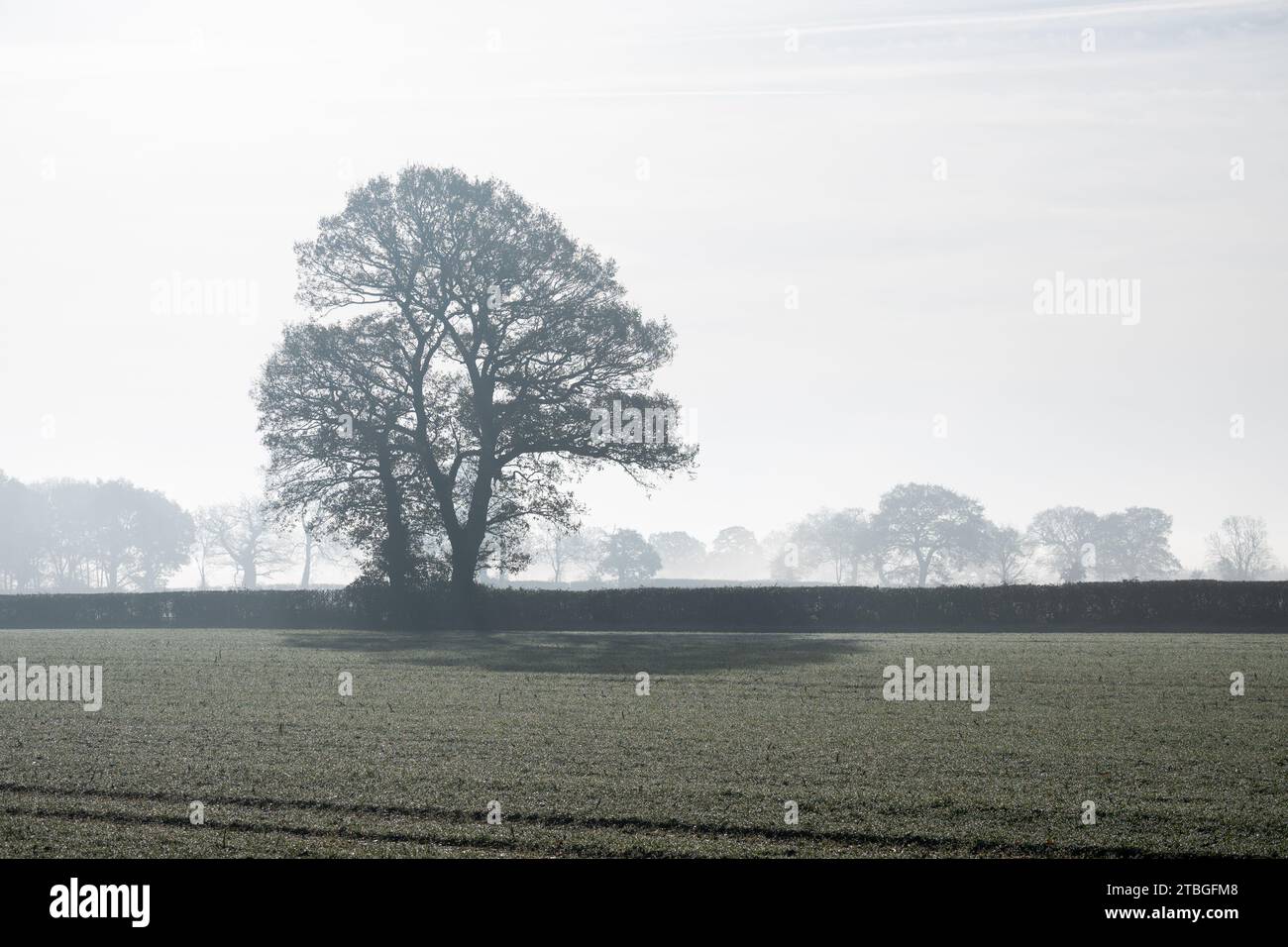 Misty winter landscape, Warwickshire, England, UK Stock Photo - Alamy