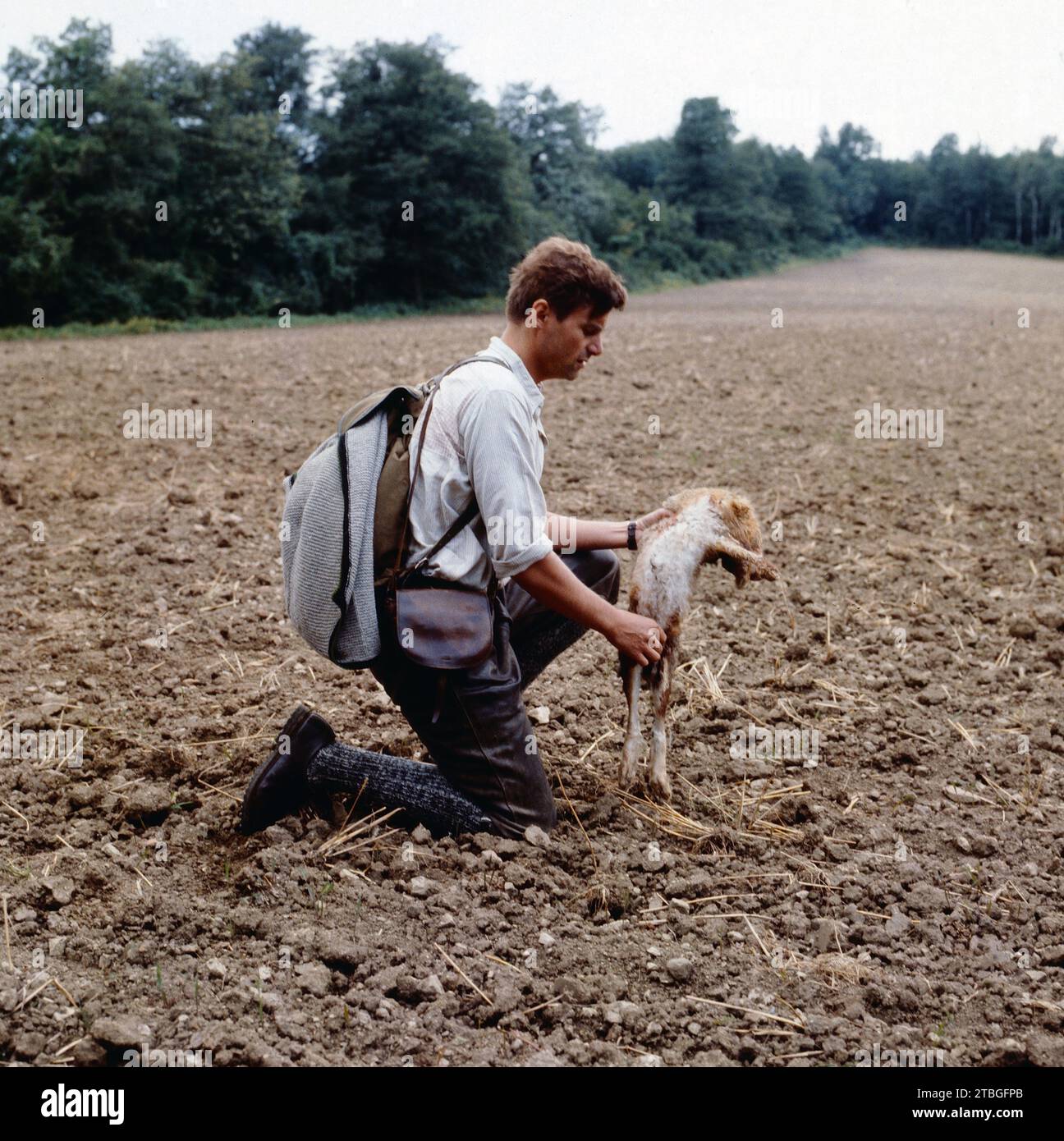 Peter feld hi-res stock photography and images - Alamy