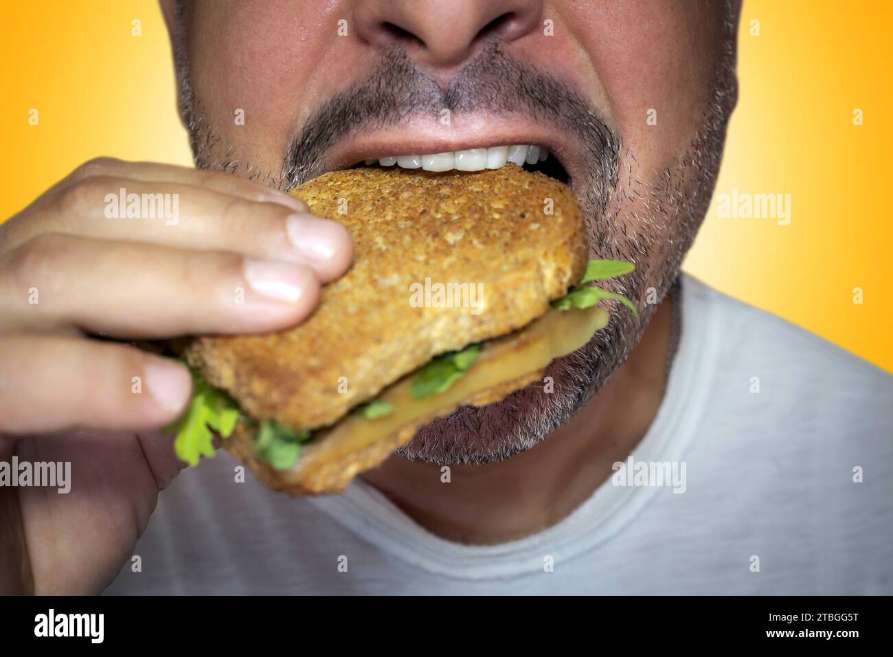 45 cheese hi-res stock photography and images - Alamy