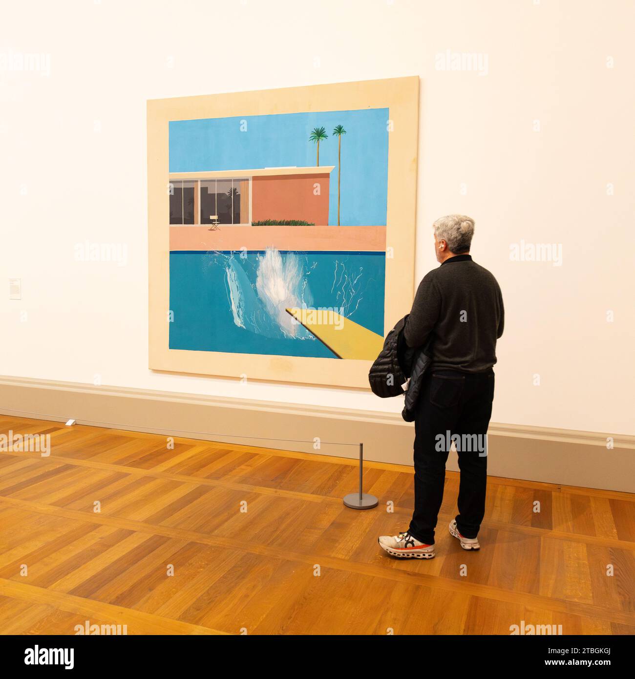 Hockney splash hi-res stock photography and images - Alamy