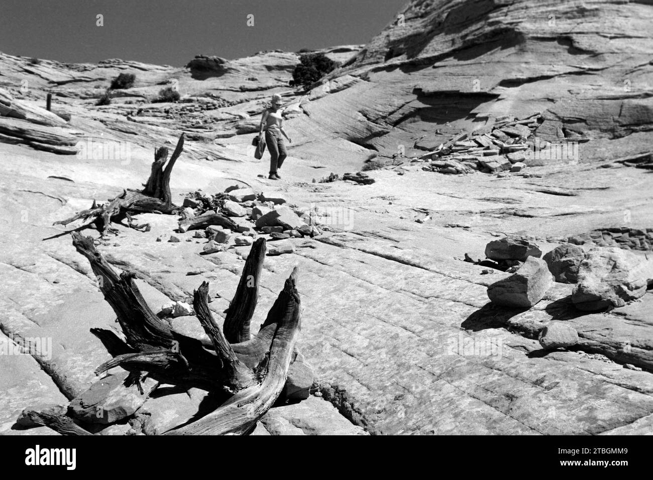 Auf dem Wanderweg Richtung Inscription House im Navajo National ...