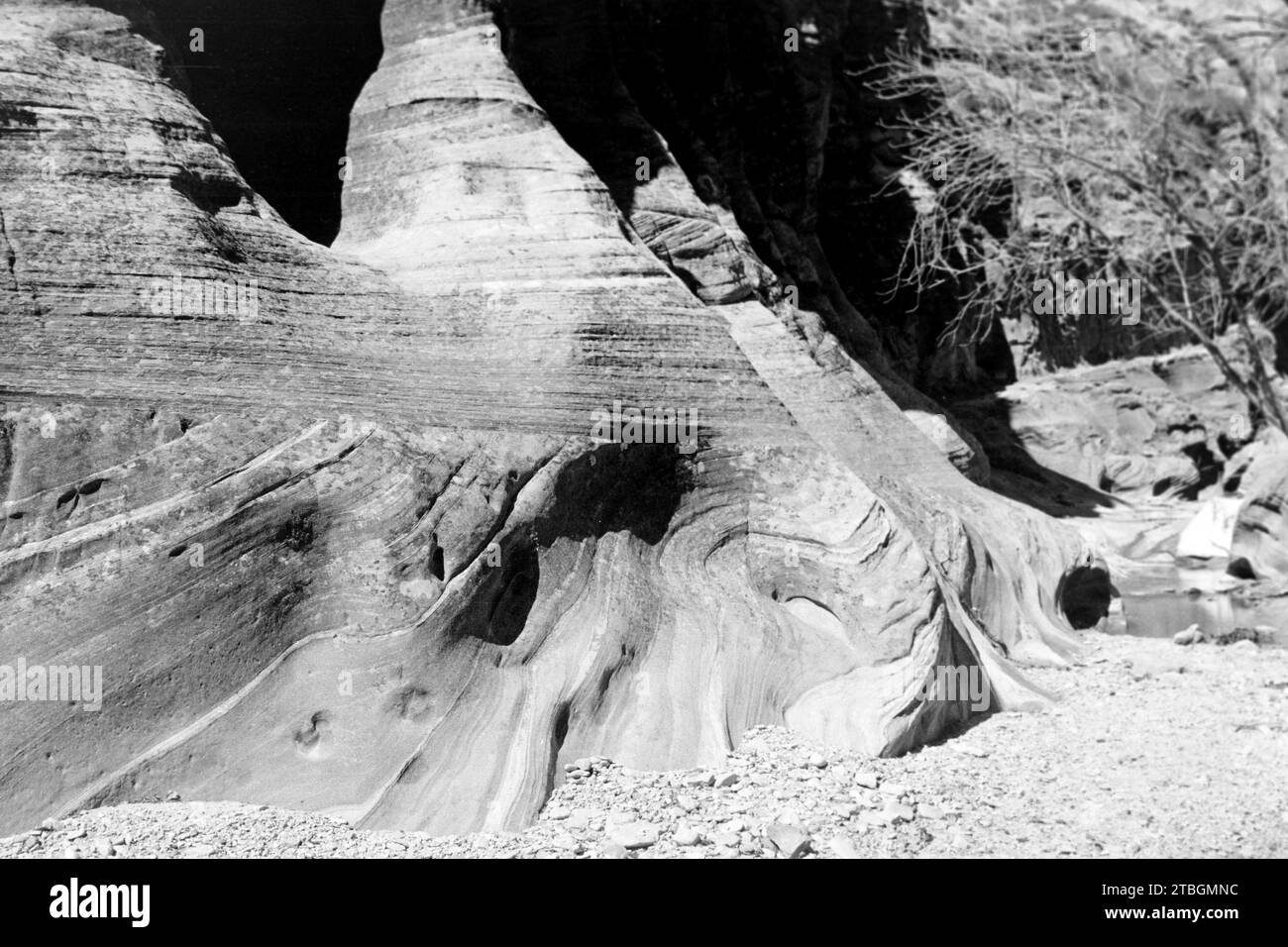 Navajo-Sandsteinformation im Zion Nationalpark, Utah 1968. Navajo ...