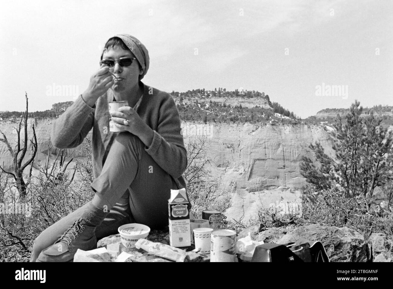 Picknick Am Aussichtspunkt Des Zion Canyon Im Zion Nationalpark Utah