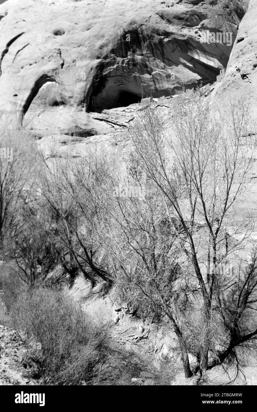 Blick auf die Ruinenstätte Inscription House im Navajo National ...