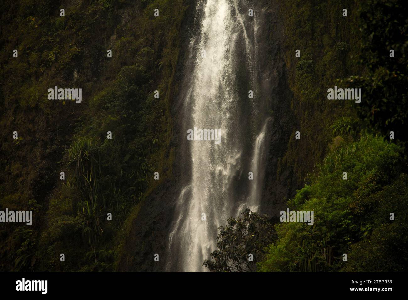 The rushing water creates a mesmerizing sight as it flows gracefully ...