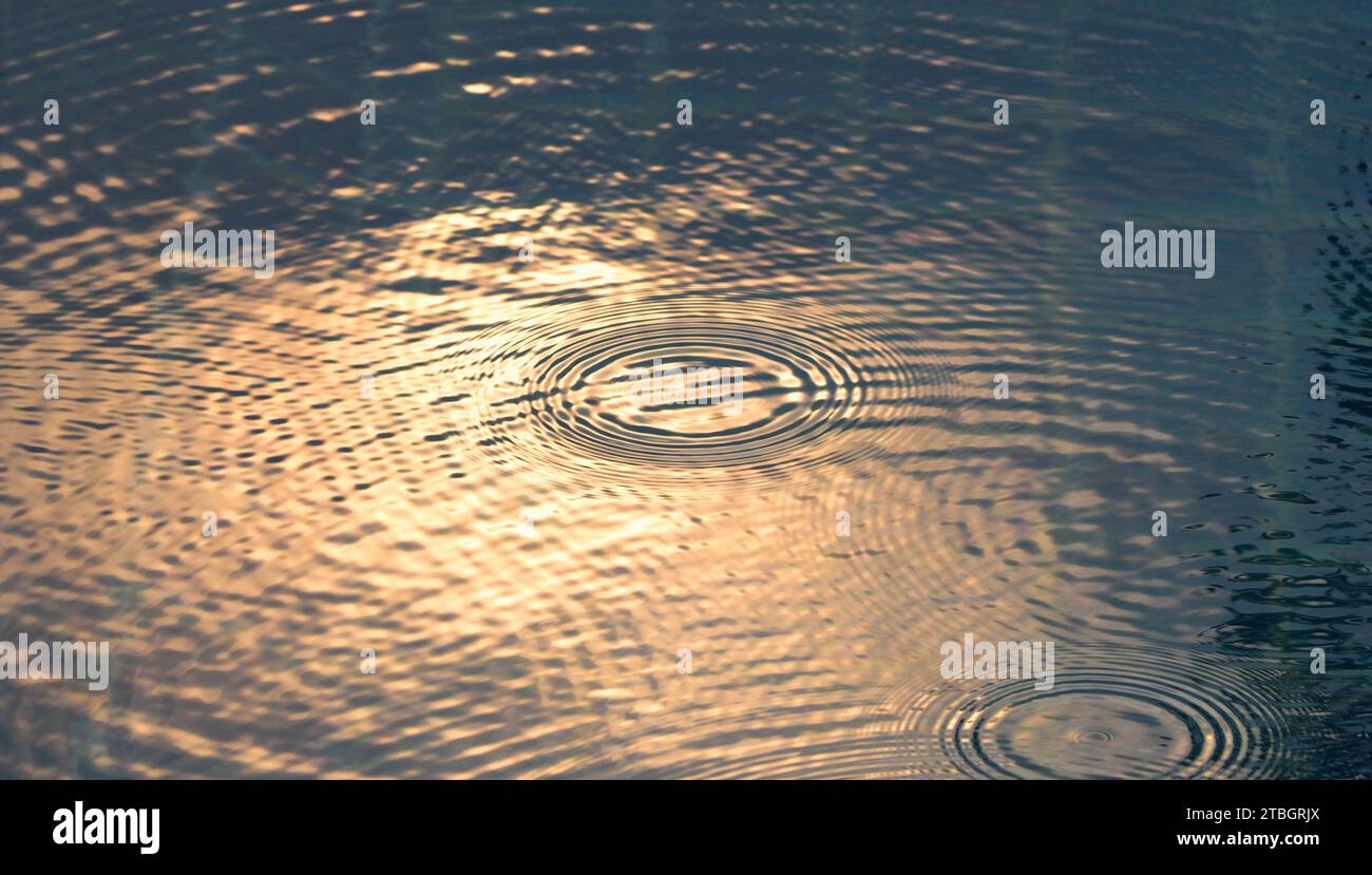 Raindrop reflection hi-res stock photography and images - Alamy