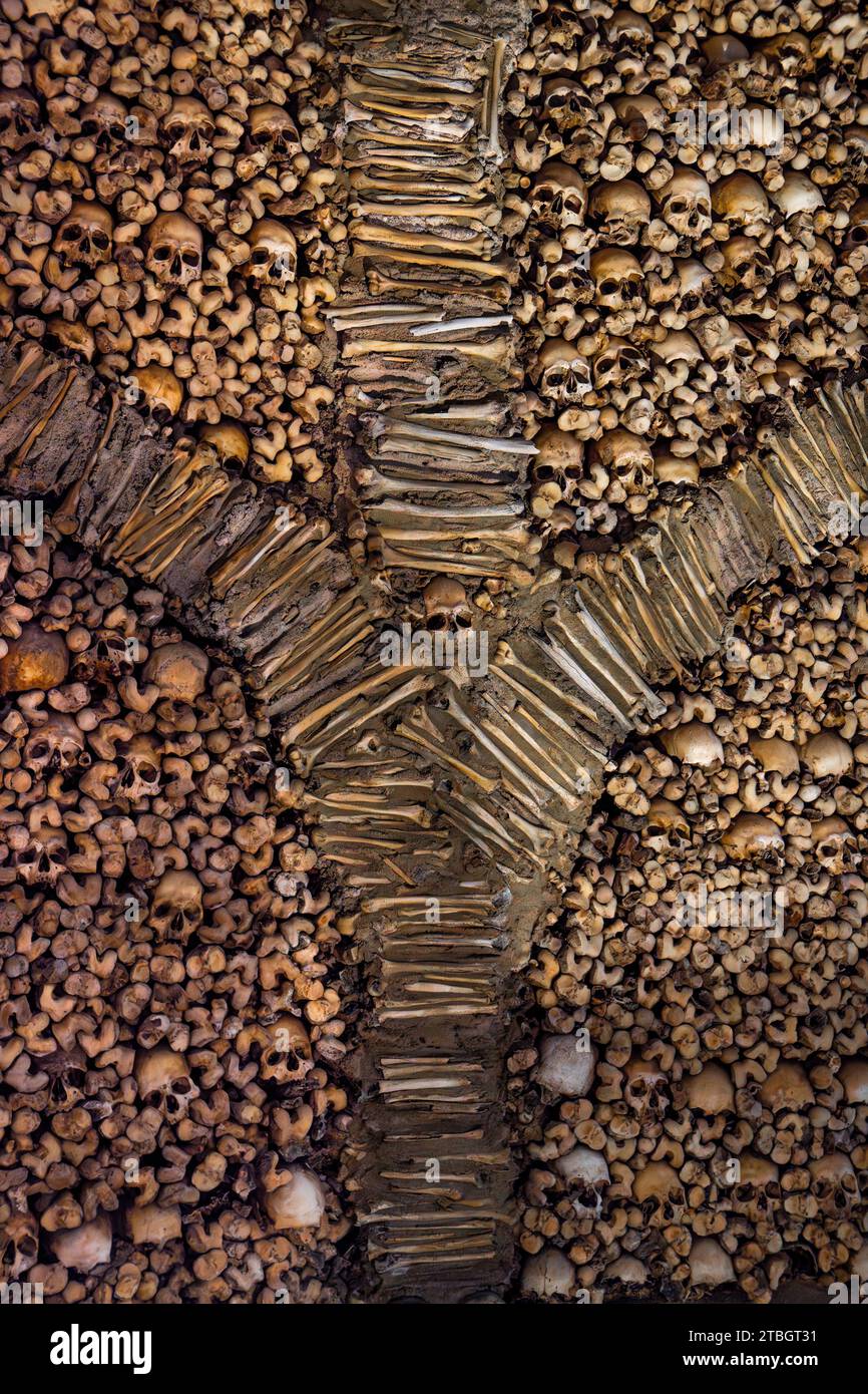 Macabre sculptural design of a wall of bones and human skulls creating ...