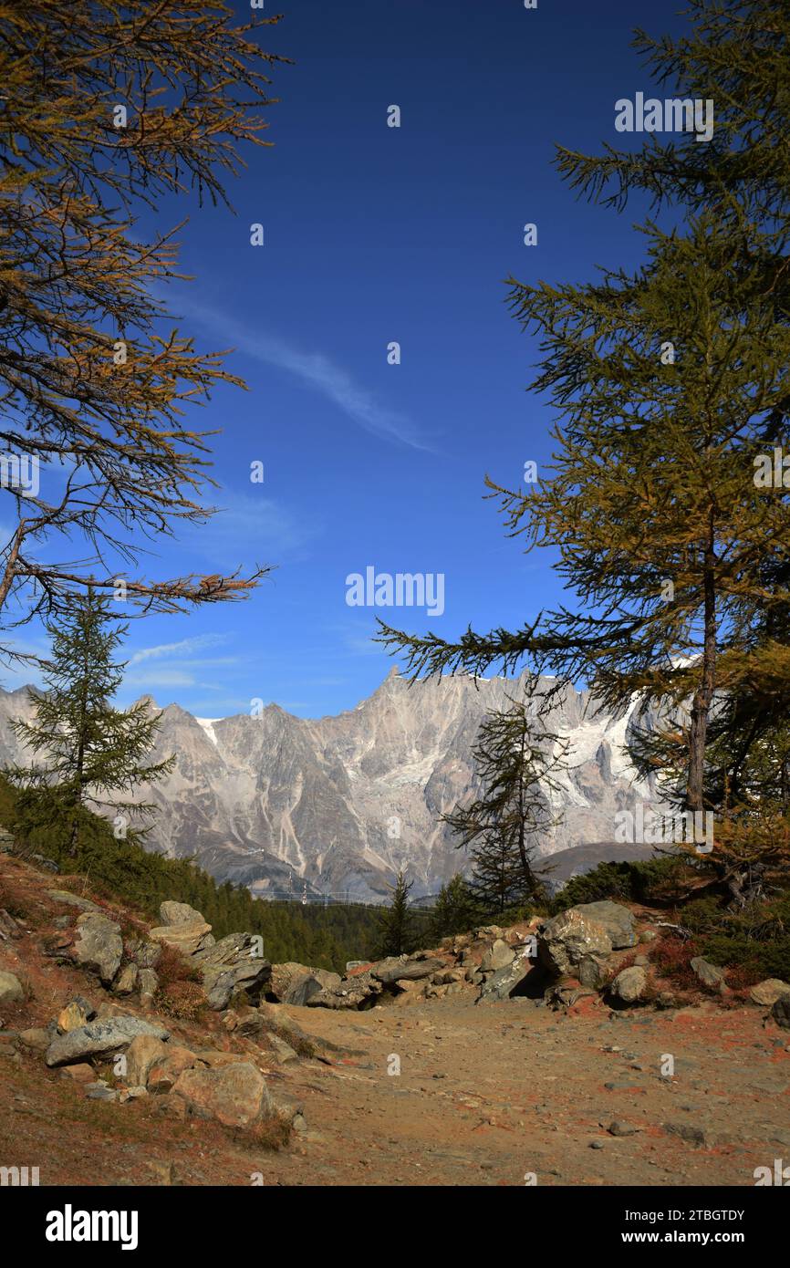 Morgex, Aosta Valley, Italy. Le Grandes Jorassesn range with the Dente ...