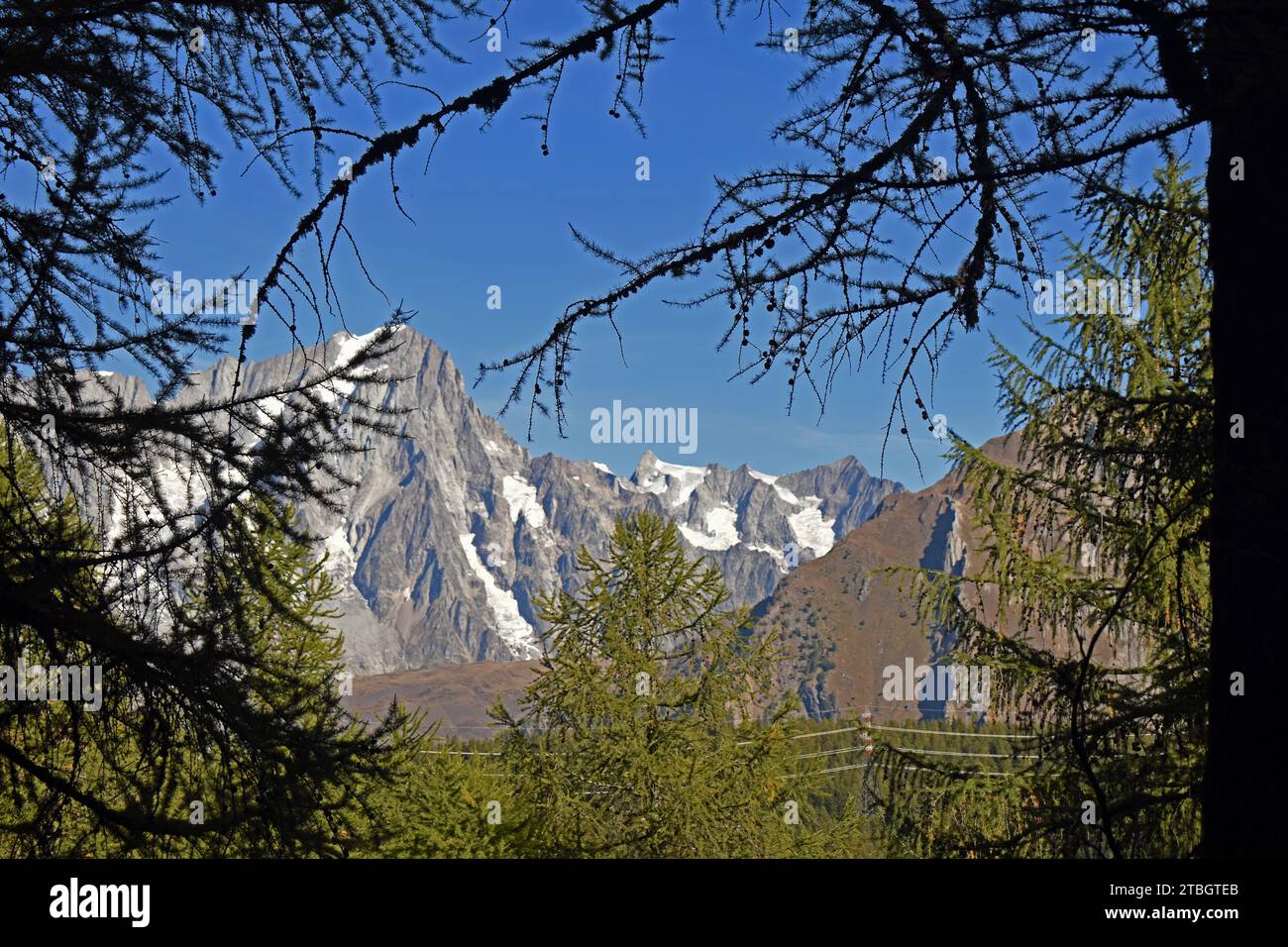Morgex, Aosta Valley, Italy. Le Grandes Jorassesn range with the Dente ...