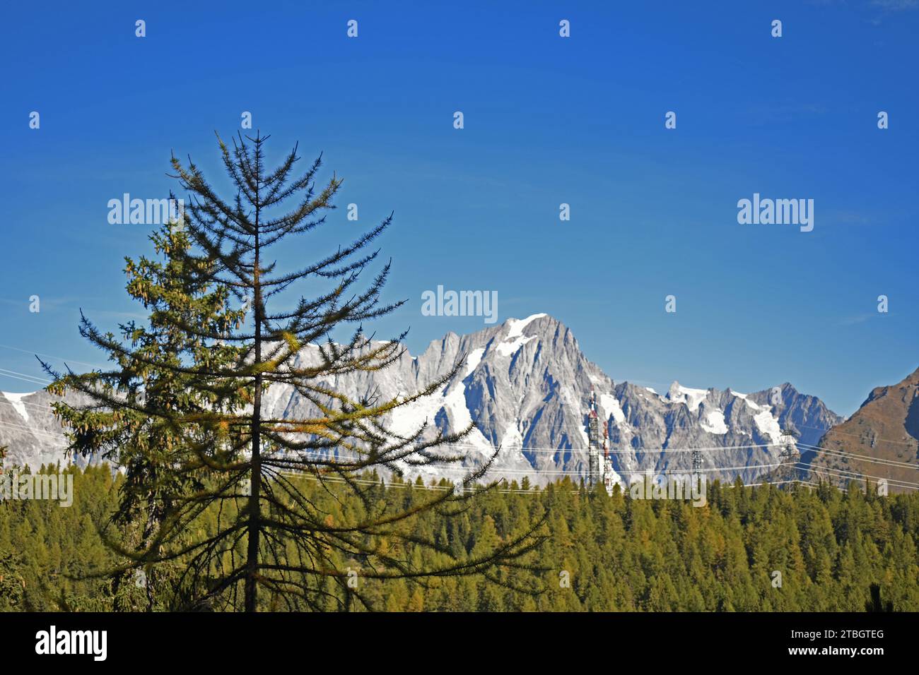 Morgex, Aosta Valley, Italy. Le Grandes Jorassesn range with the Dente ...