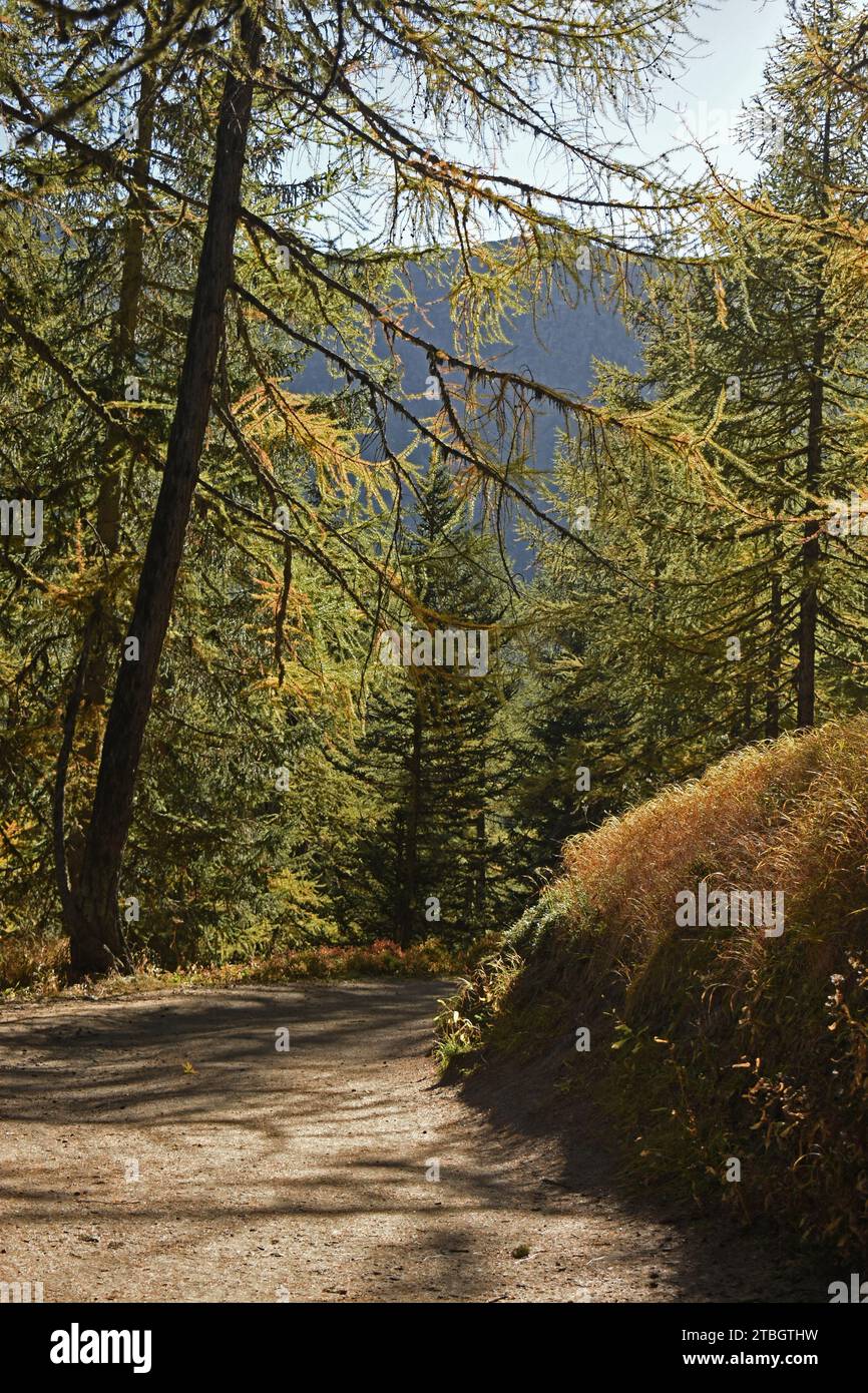 Morgex aosta valley hi-res stock photography and images - Alamy