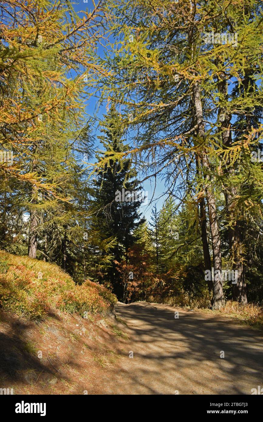 Morgex aosta valley hi-res stock photography and images - Alamy