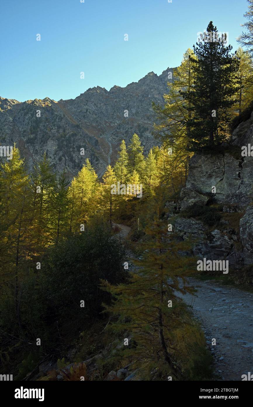 Morgex aosta valley hi-res stock photography and images - Alamy