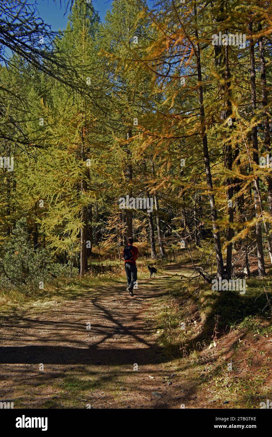 Morgex, Aosta Valley, Italy. Trekking with dog Stock Photo - Alamy