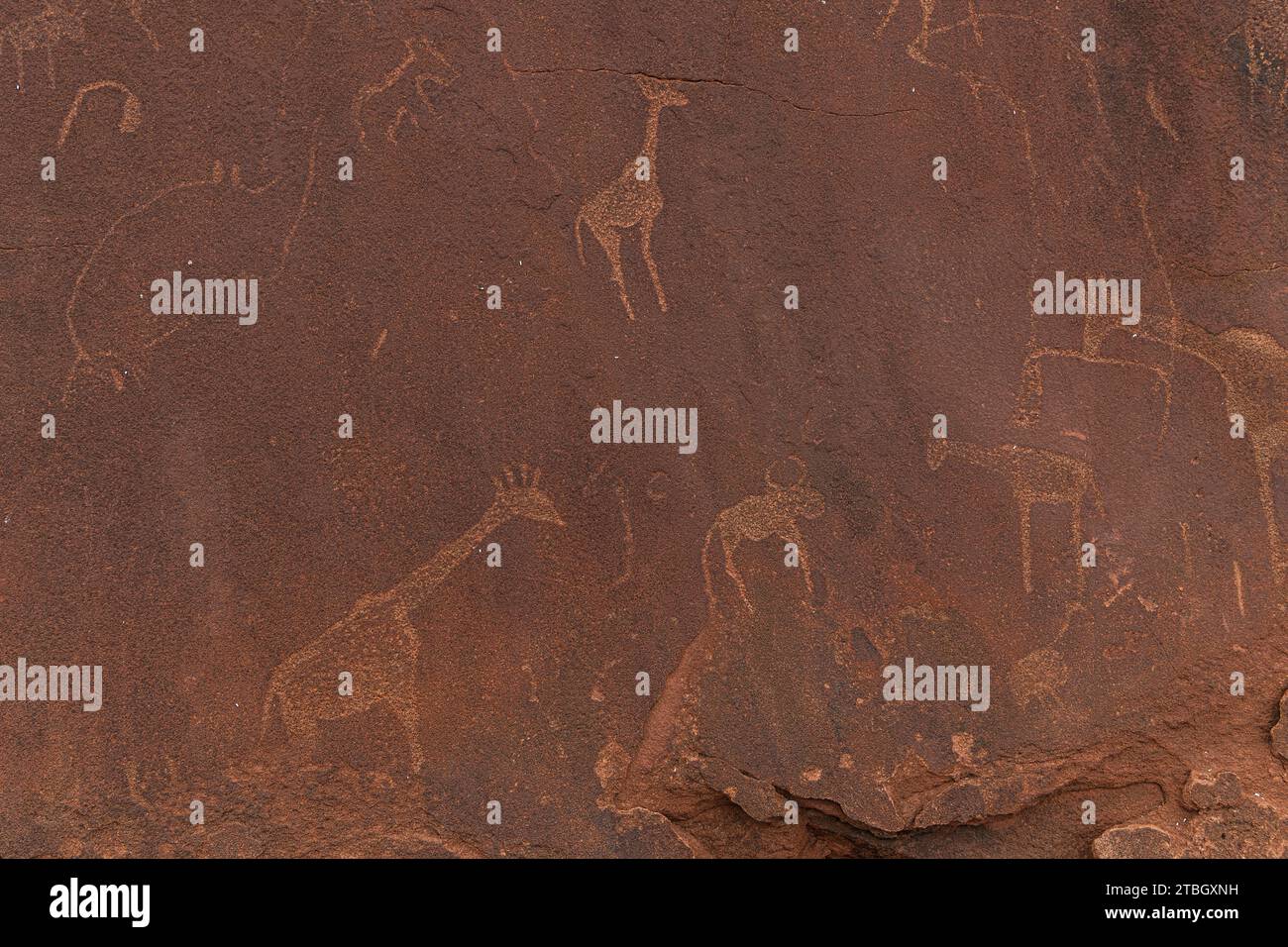The rock paintings of Twyfelfontein, Damaraland, Namibia, Africa Stock ...