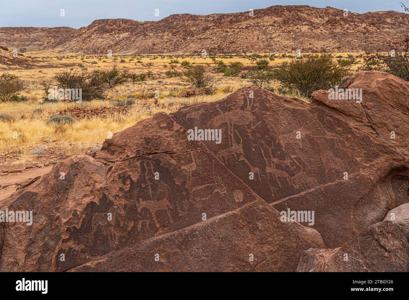 The rock paintings of Twyfelfontein, Damaraland, Namibia, Africa Stock ...
