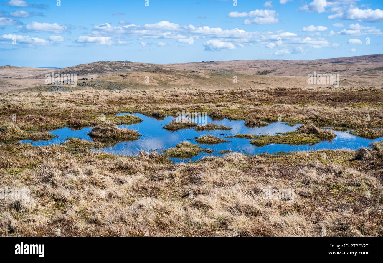Rainwater pools on West Mill Tor, Dartmoor National Park, Devon, UK ...