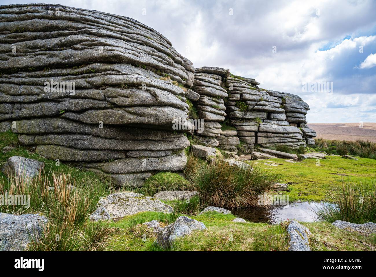Dinger Tor is a compact stack of course granite overlooking the West ...