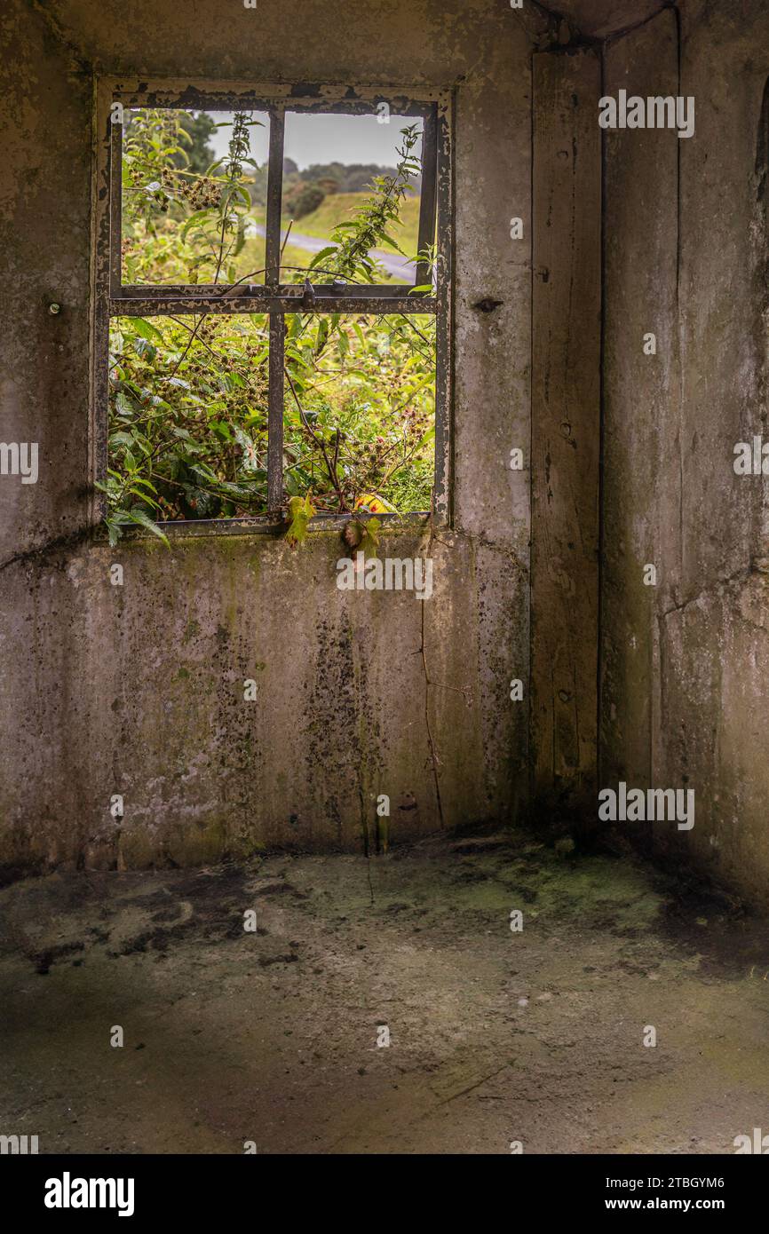 window and interior of a derelict building at sourton, devon, uk Stock ...