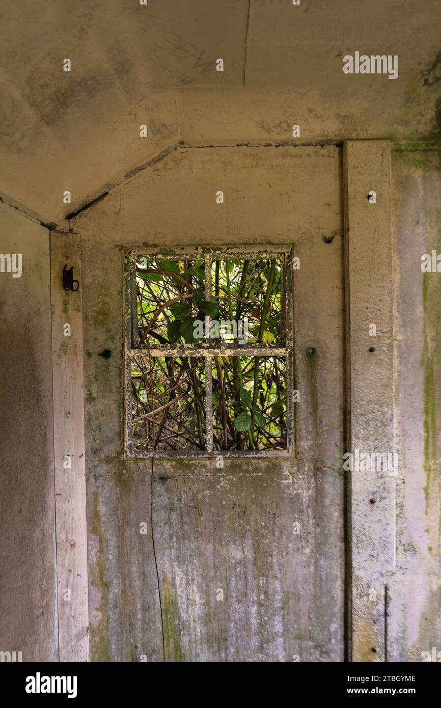 window and interior of a derelict building at sourton, devon, uk Stock ...