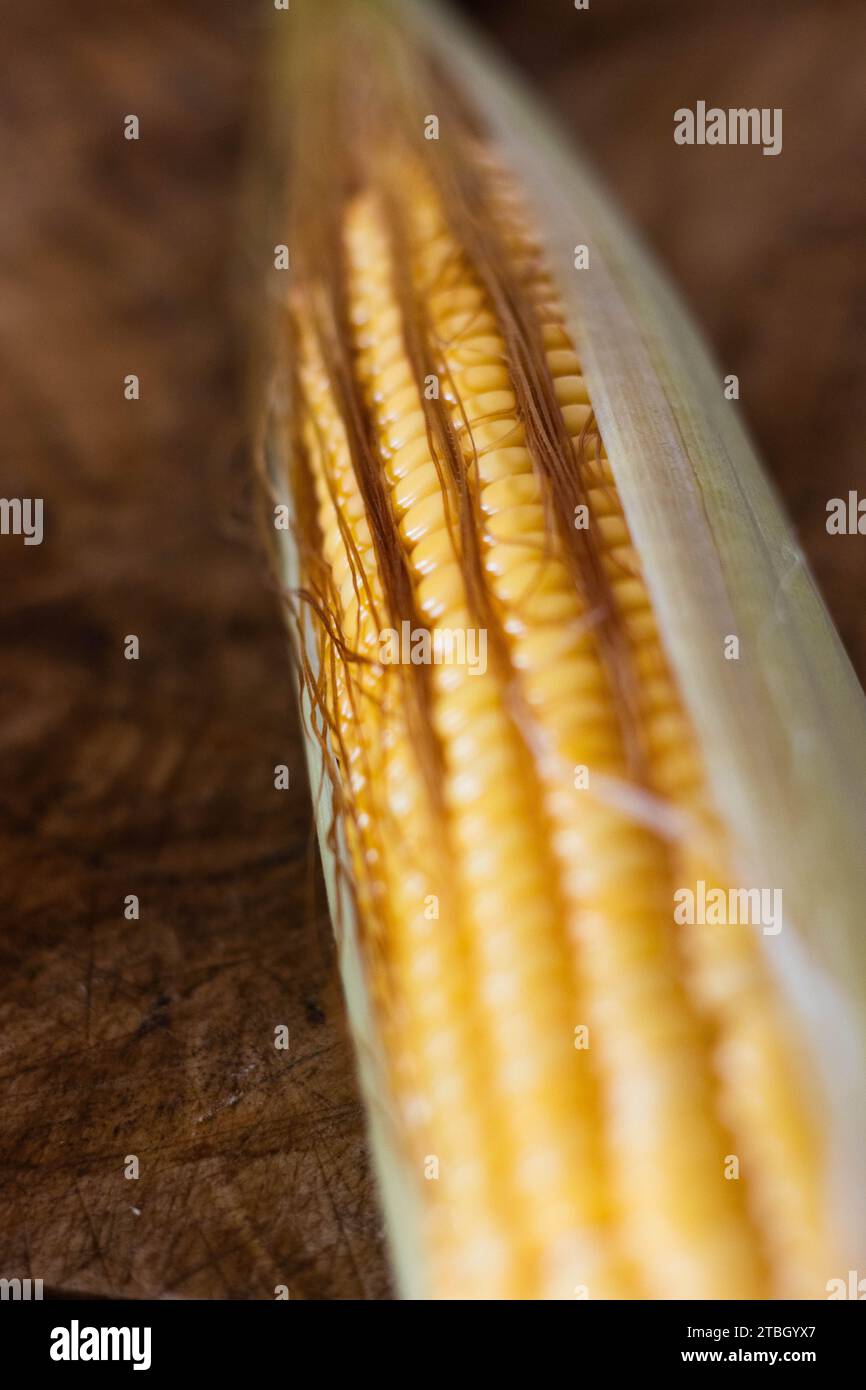 Artisanal preparation of corn cachapas, a typical Venezuelan dish Stock ...