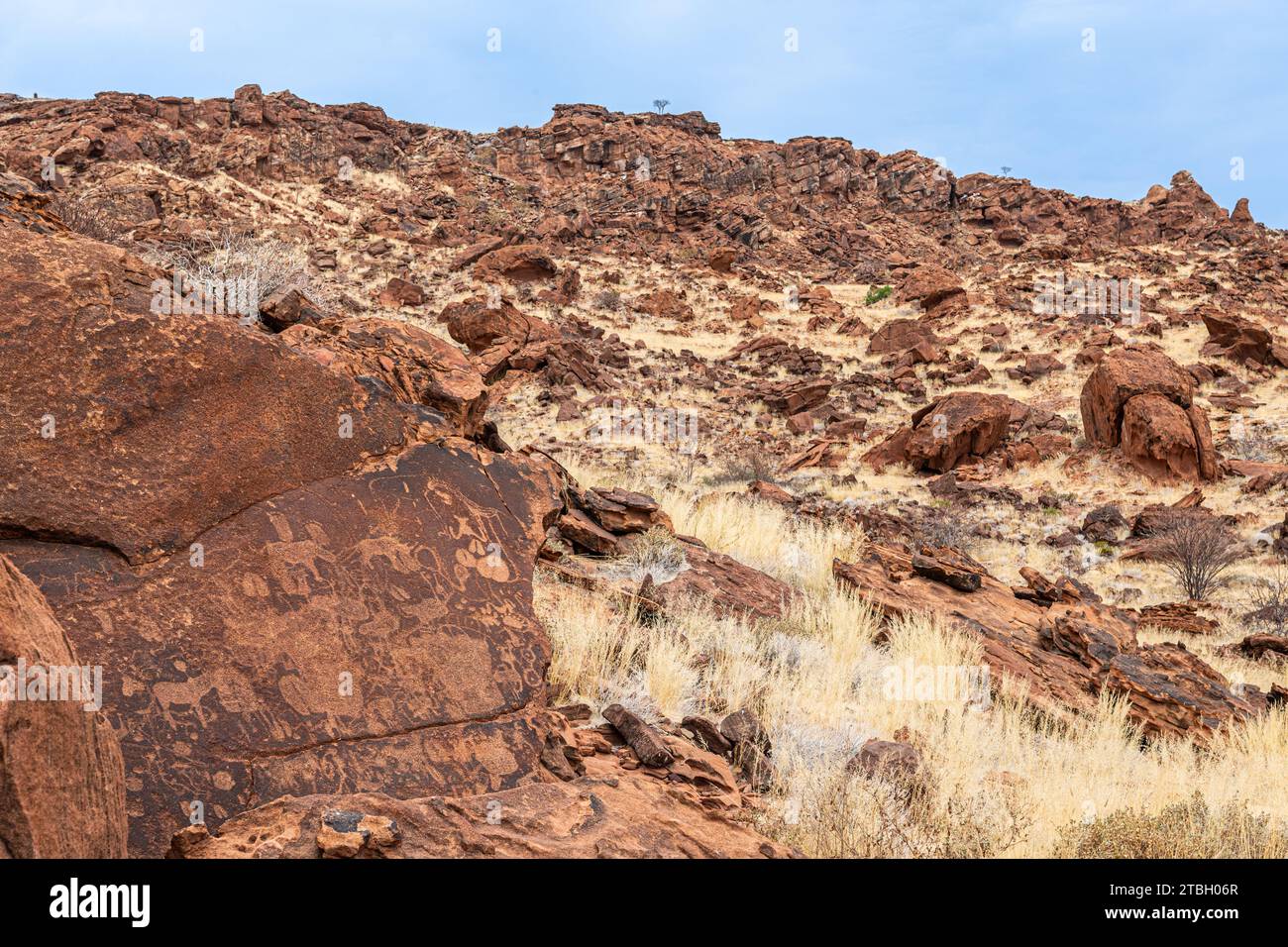 The rock paintings of Twyfelfontein, Damaraland, Namibia, Africa Stock ...