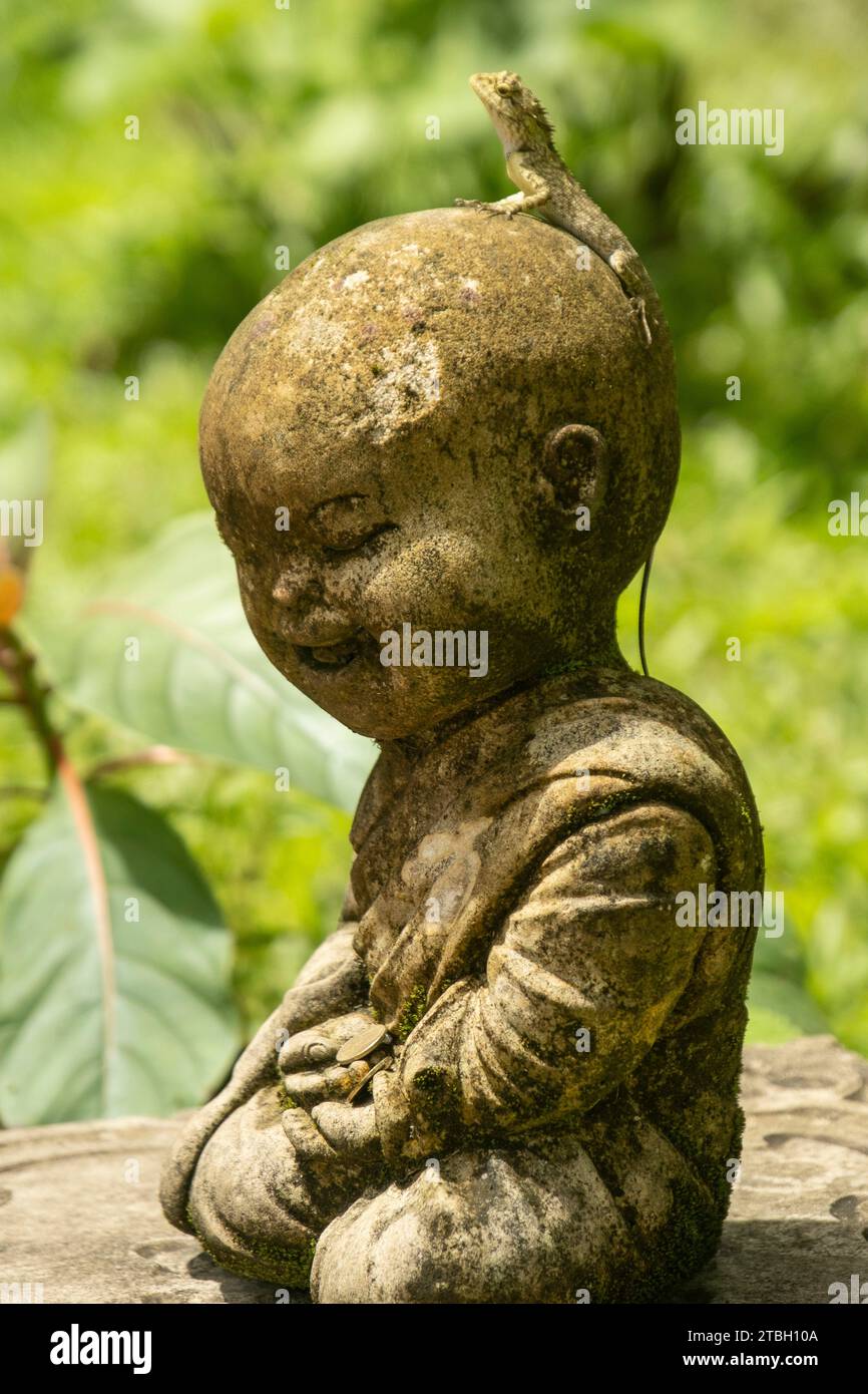 Closeup of a cute laughing baby monk statue with a lizard on its head ...