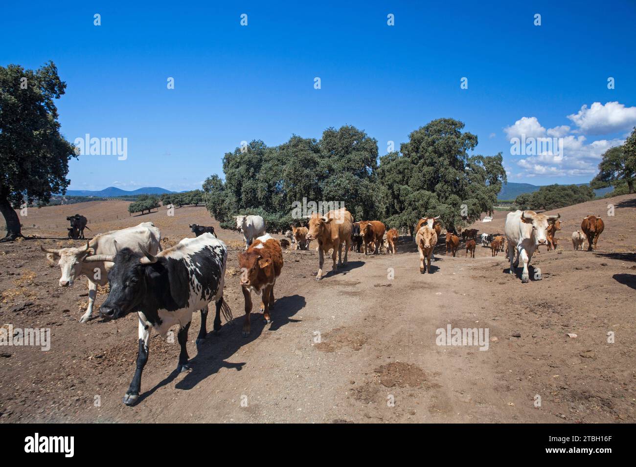 Warm and sunny climate hi-res stock photography and images - Alamy