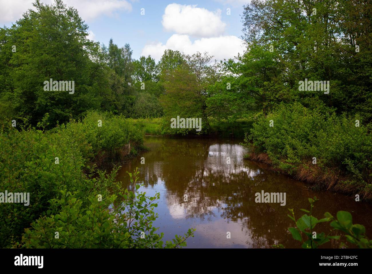 Restored landscape around Dutch river Ruiten Aa; Sellingen, Groningen ...