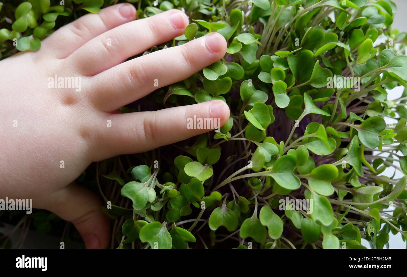 The relationship between a child and nature is known through touching ...
