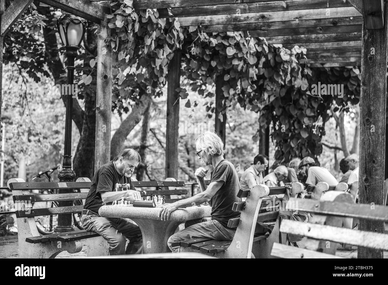 Chess players and public life in Central Park, New York City, USA Stock ...