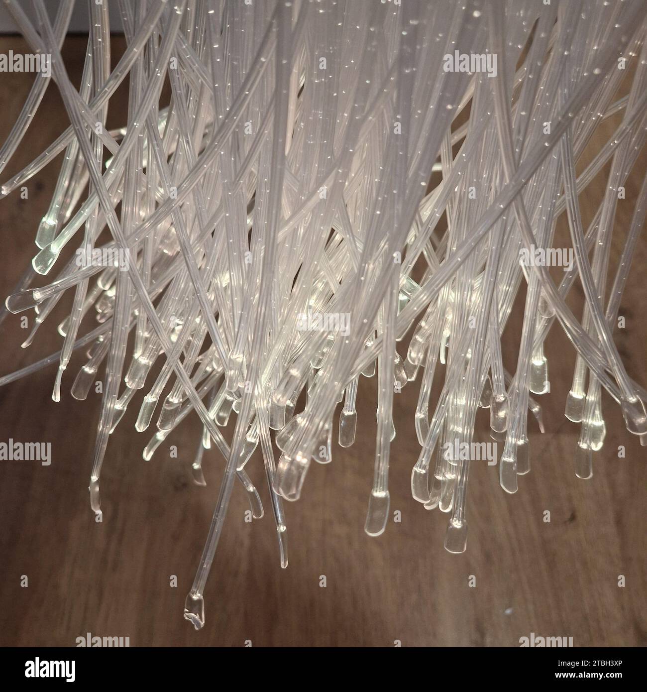 Colored luminous fibers, France Stock Photo - Alamy