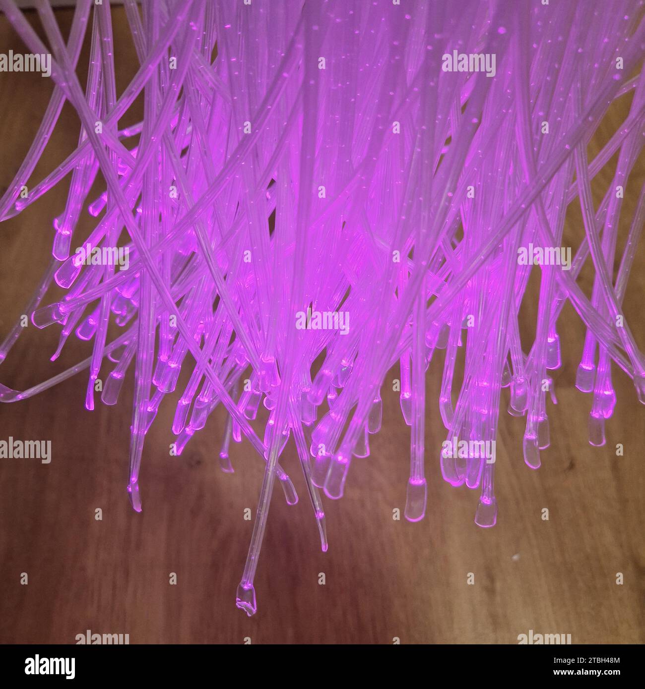 Colored luminous fibers, France Stock Photo - Alamy