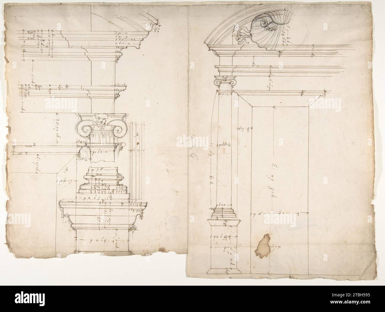 Palazzo dei Conservatori, window, elevation; window, details, elevation ...