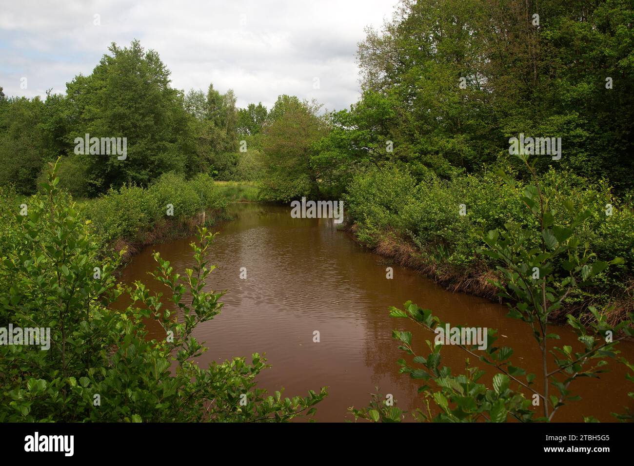 Dutch river Ruiten Aa with rust coloured water due to iron oxide ...