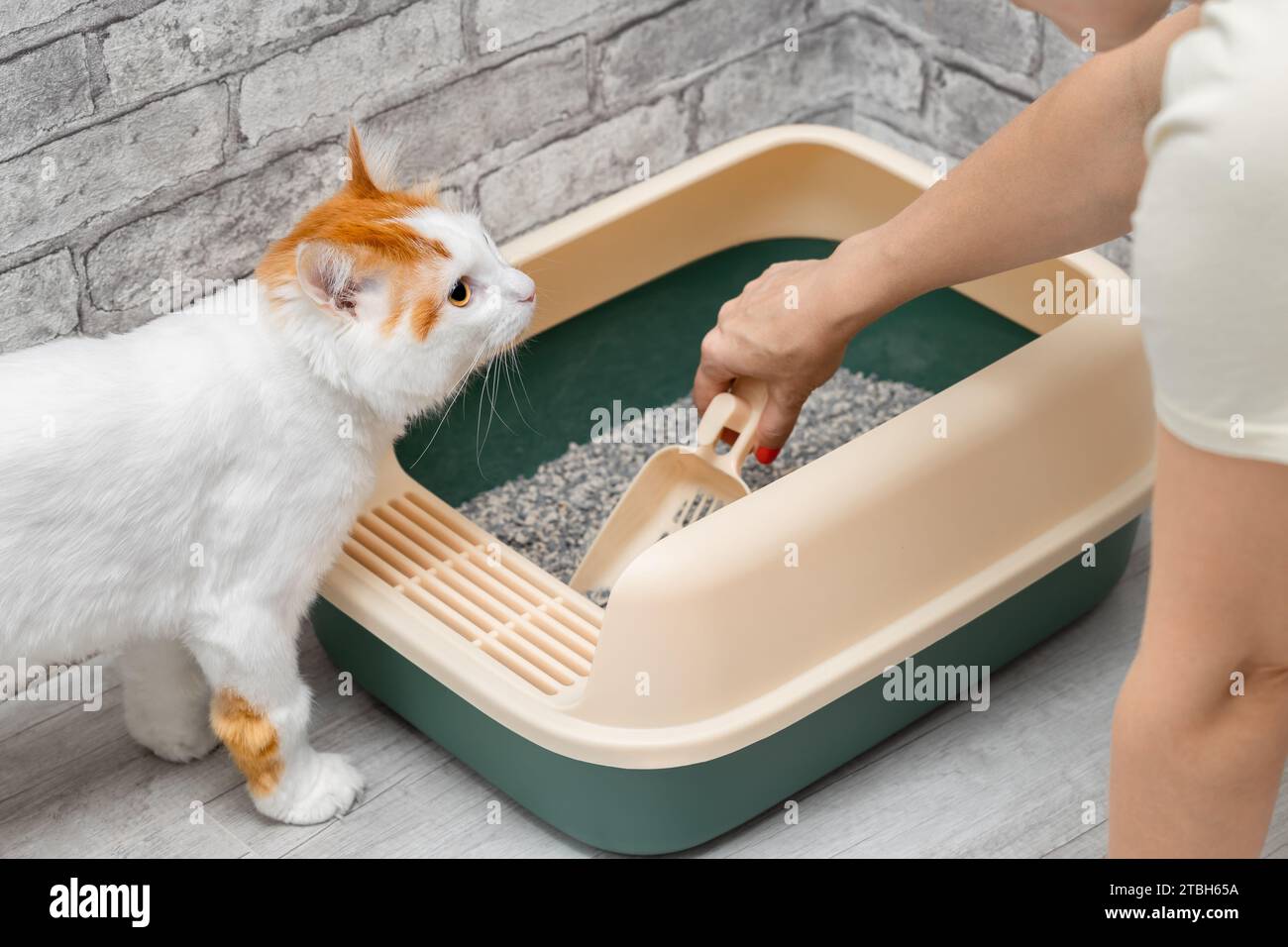 Woman cleaning man watches hi-res stock photography and images - Alamy