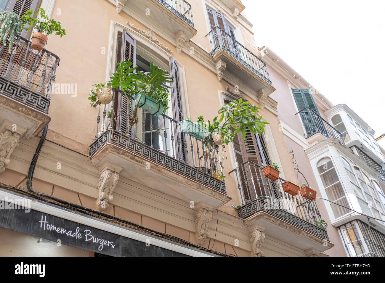 Malaga Streets: A Journey Through Andalusian Charm - Discover the ...