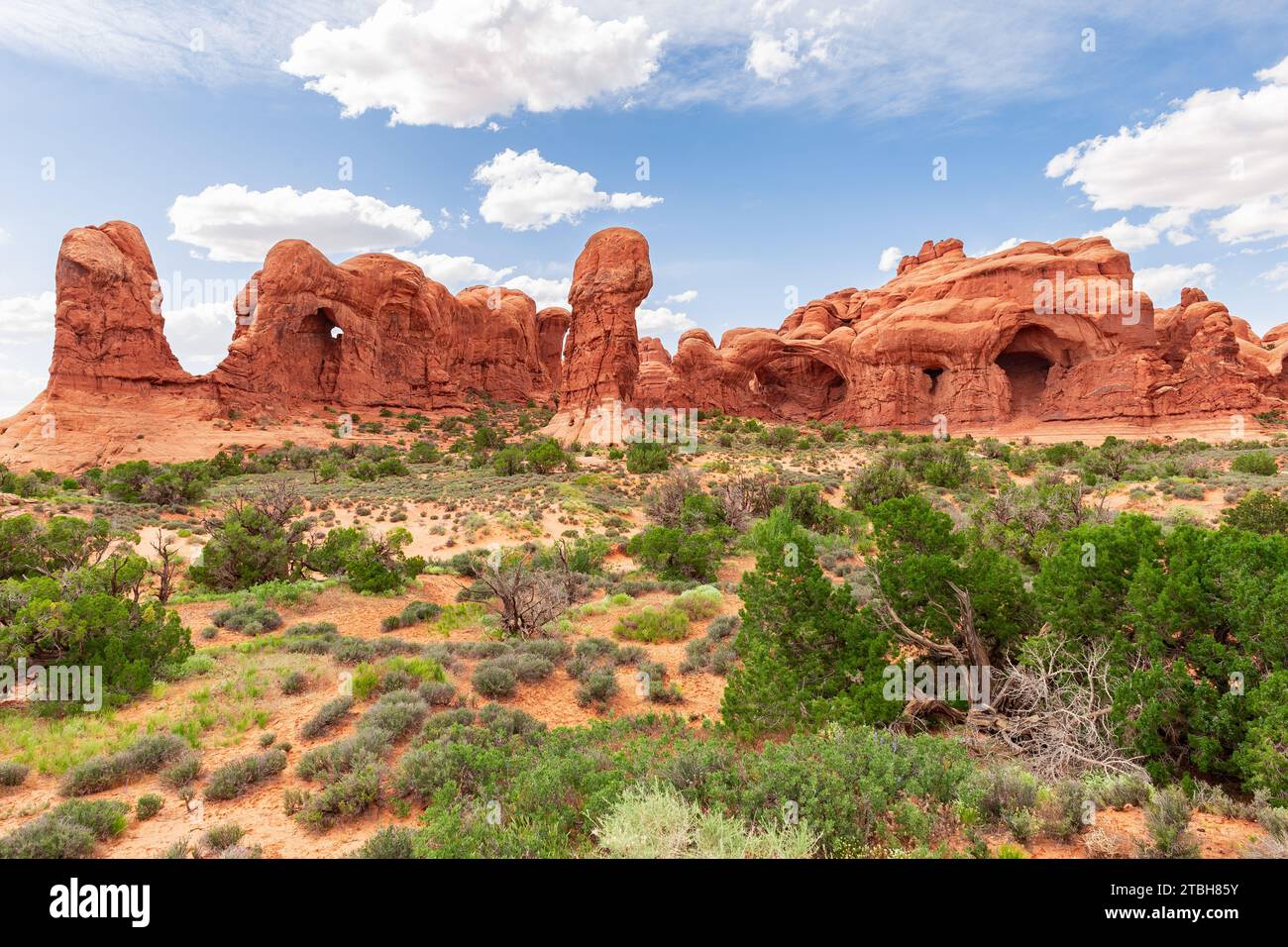 Semi doble hi-res stock photography and images - Alamy