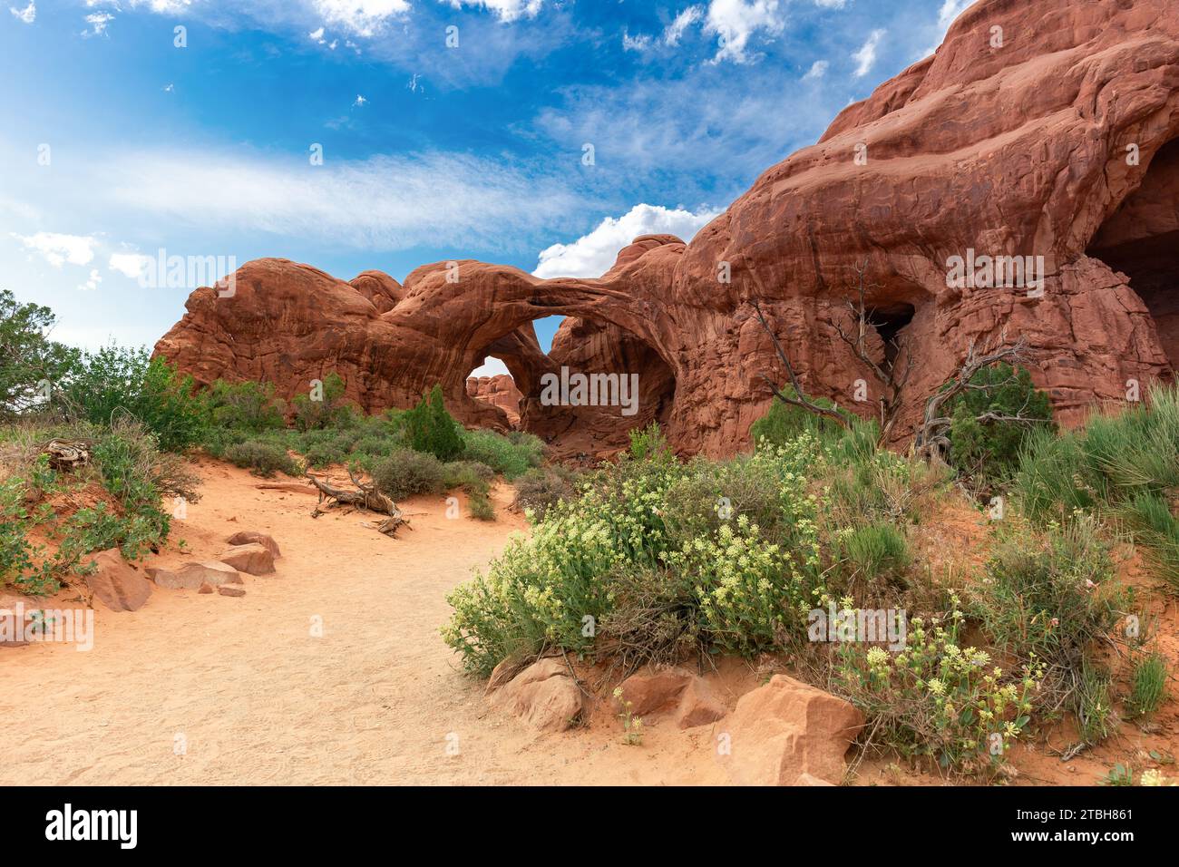 View on The Windows Section Trail with Doble Arch in Arches National ...