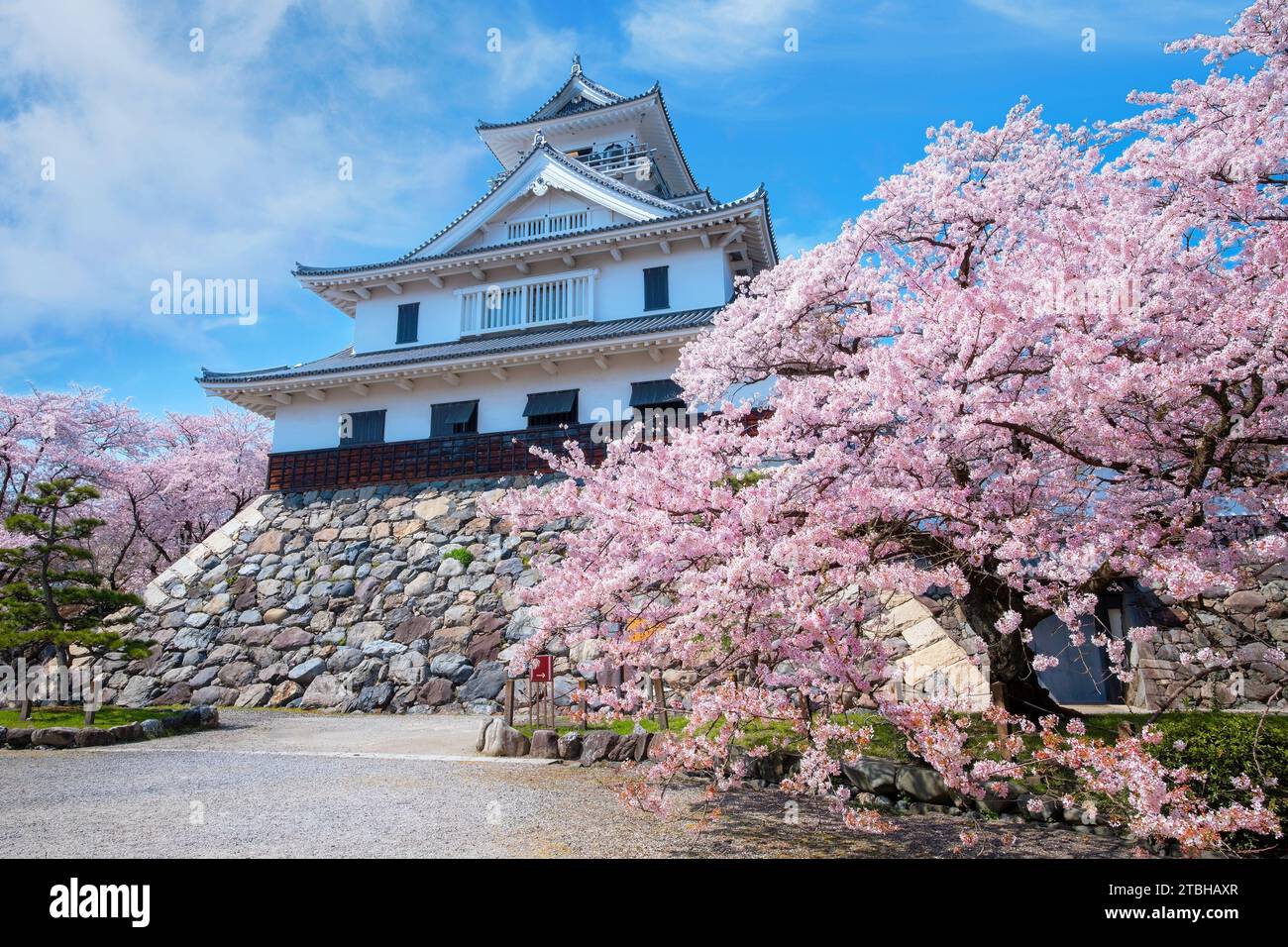 Shiga, Japan - April 3 2023: Nagahama Castle built by feudal lord ...