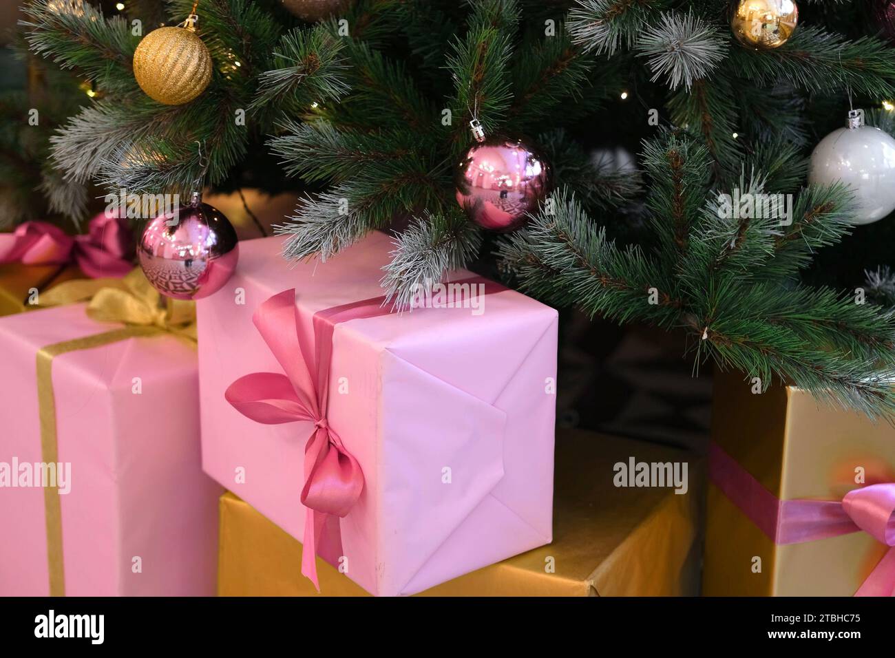 Big Wrapped Gift Boxes Is Under the Christmas Tree. Pink and Gold Gift ...