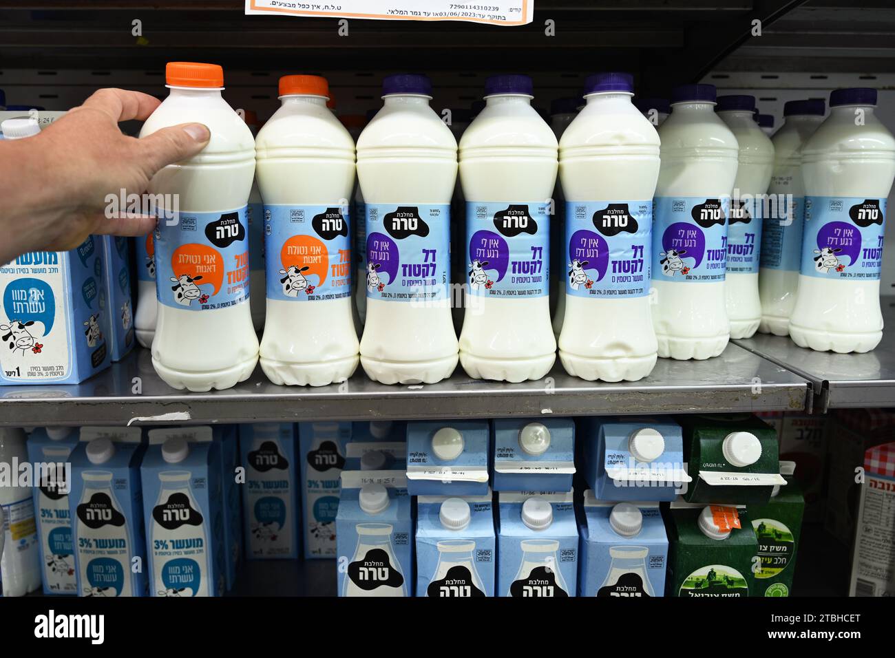 Tara diary hi-res stock photography and images - Alamy