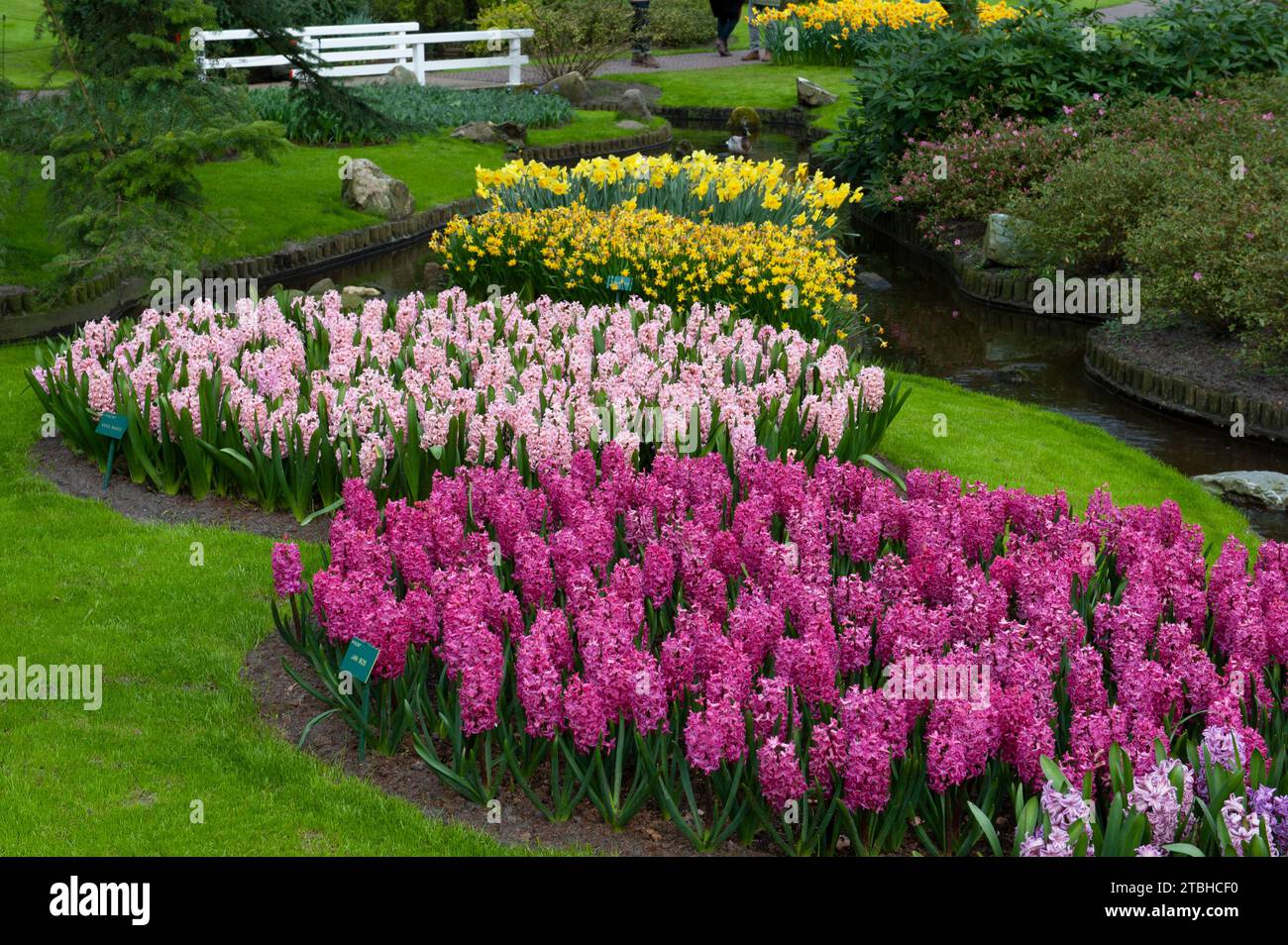 A section of the colorful and immaculately landscaped tulip, hyacinth ...