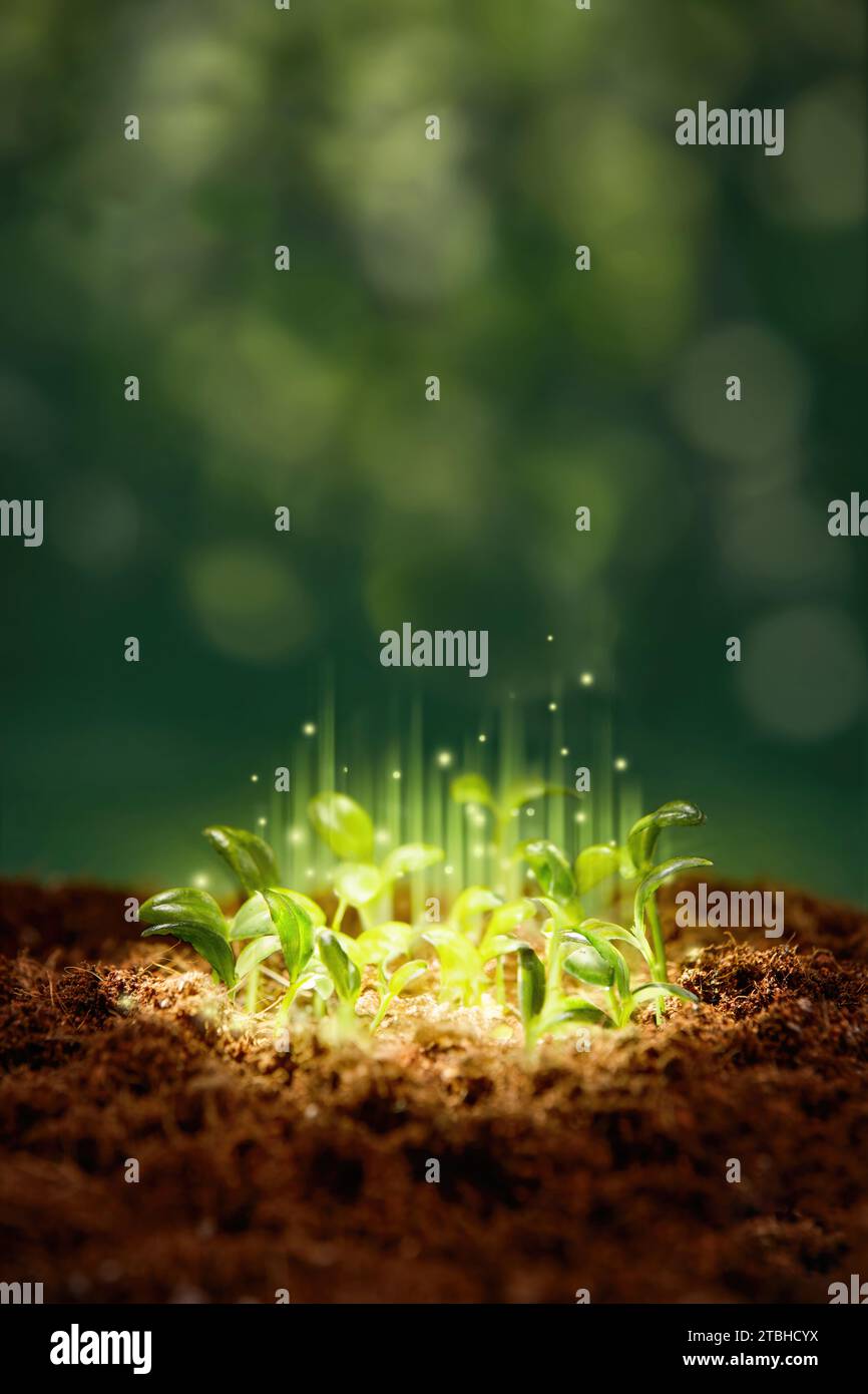 Product marketing backdrops, professional product photography ...