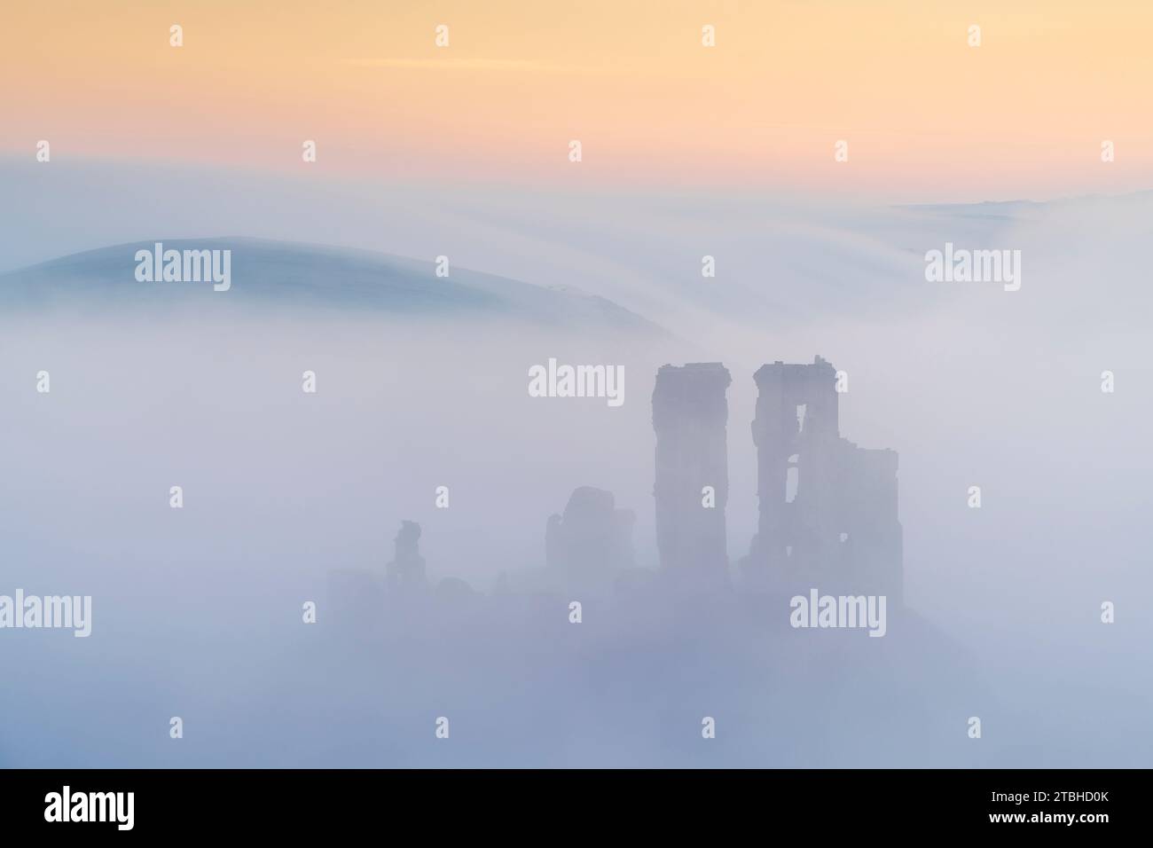 The ruins of Corfe Castle emerging from mist at dawn, Corfe Castle ...