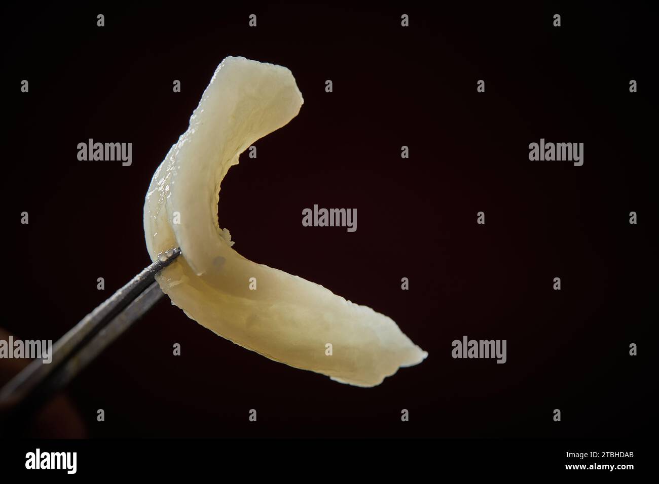 Fish maw stewed chicken hi-res stock photography and images - Alamy