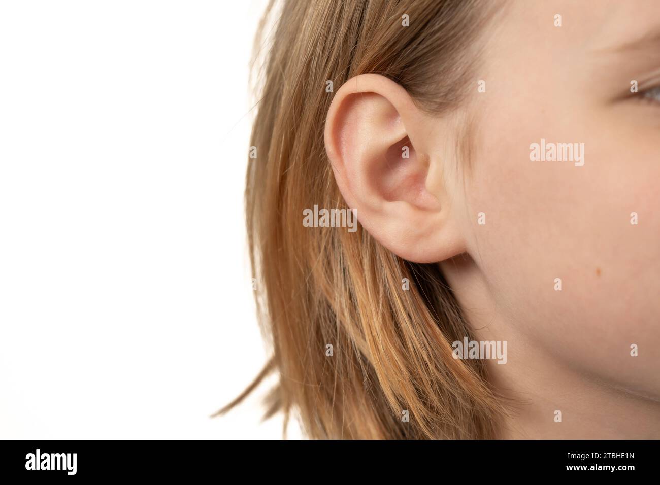 ear of a young child close-up on a white background Stock Photo - Alamy