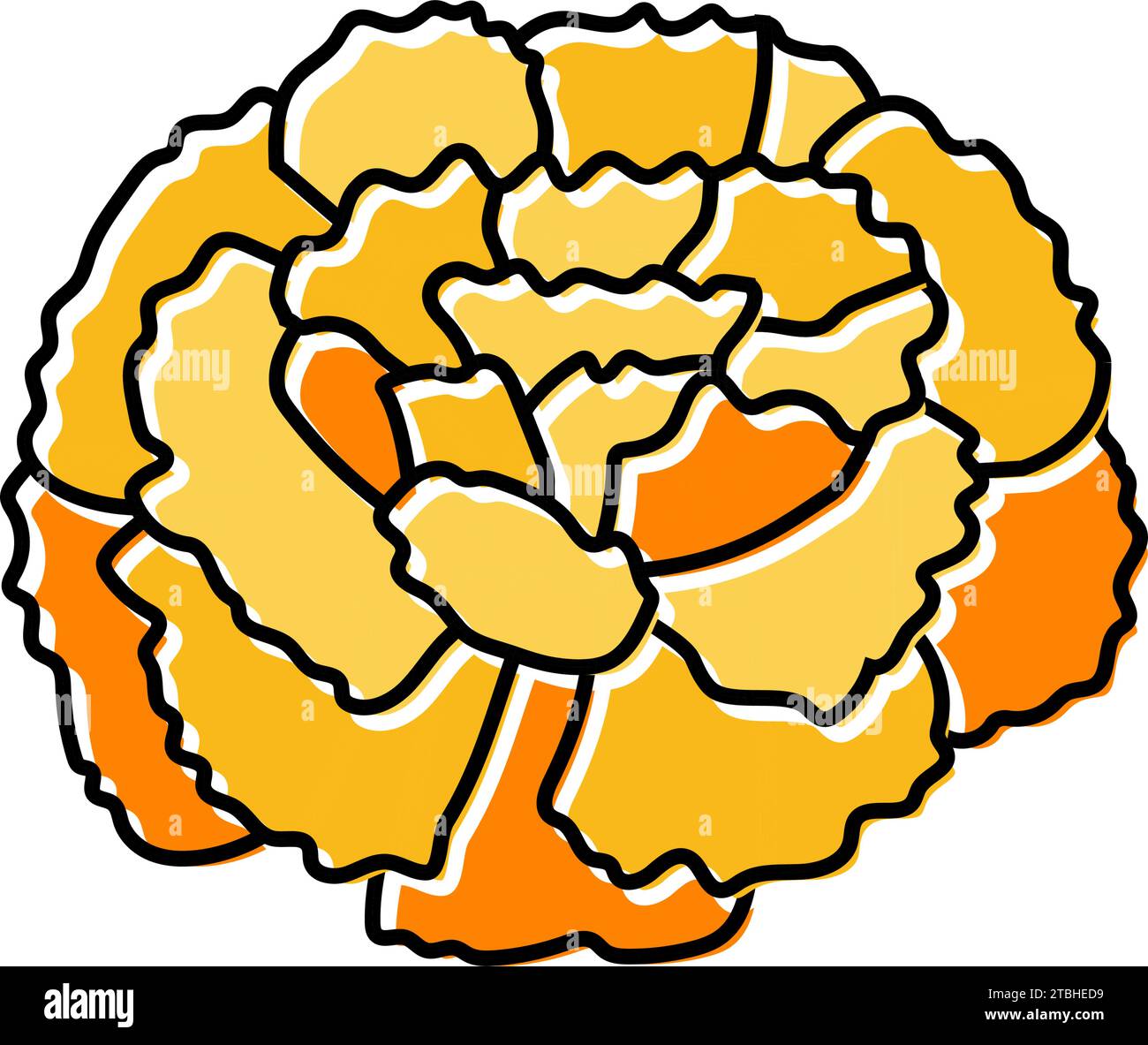 marigold blossom spring color icon vector illustration Stock Vector ...