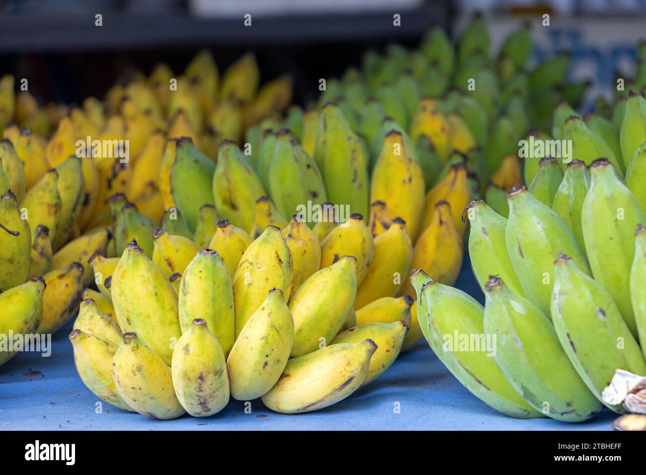 A bundle of bananas at street shop in Thailand Stock Photo - Alamy