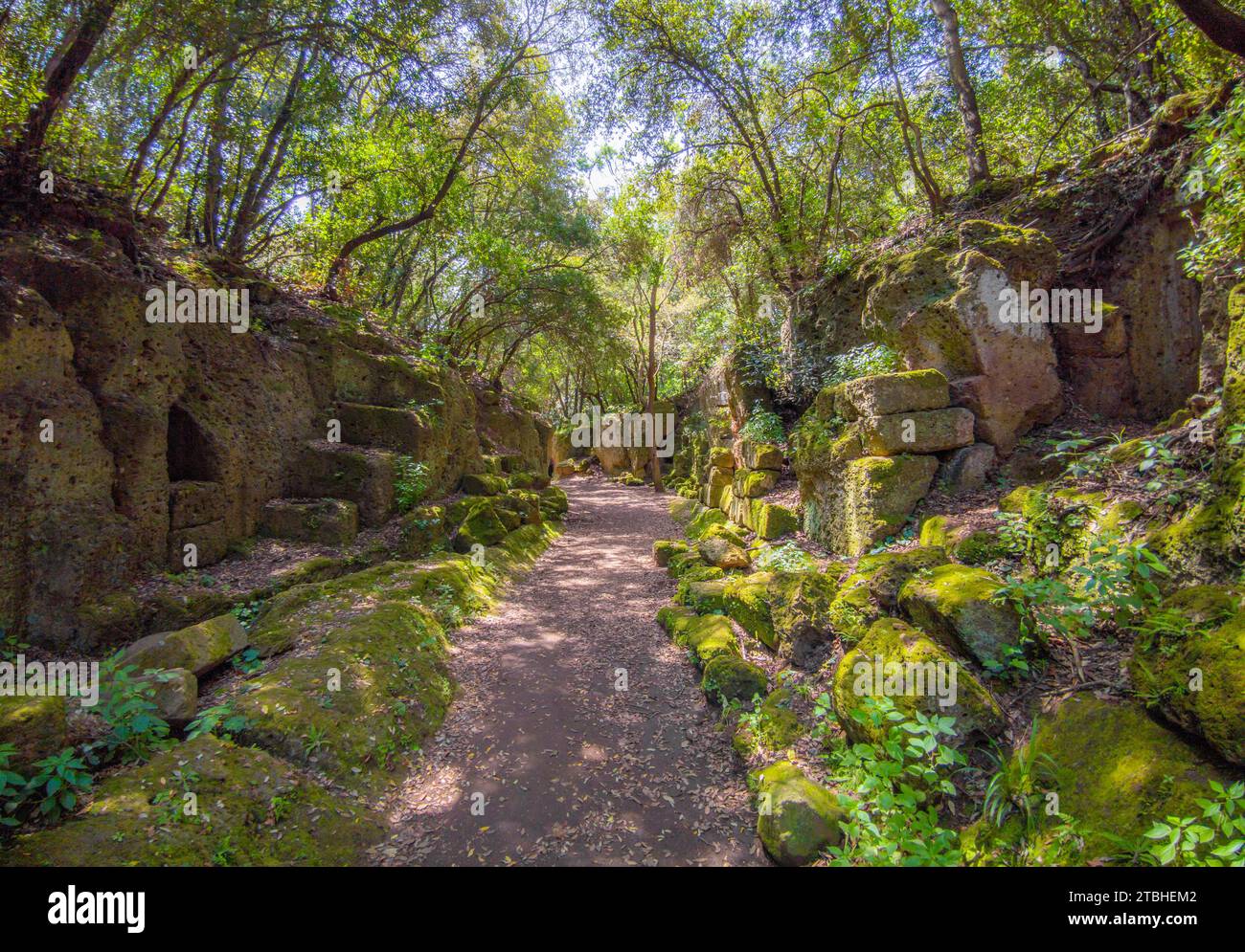 Cerveteri (Italy) - Beside Rome, Cerveteri is one of most important ...